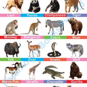 Domestic Animals chart - almaqtabooks.com